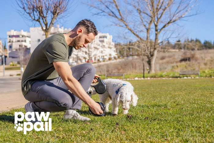 What to Do When Your Pet Waste Station Attracts Insects