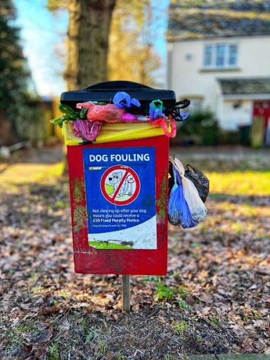 Eliminating the Mess and Smell: How Pet Waste Stations Can Solve Common ...